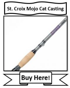 The Best St. Croix Catfish Fishing Rods – Fishing Gear Guys