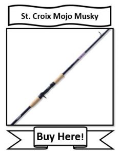 The Best St. Croix Fishing Rods for Musky (2021 List) – Fishing Gear Guys